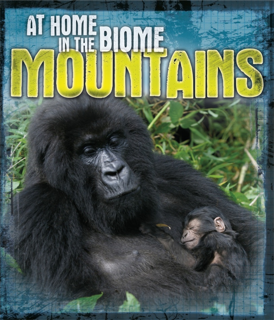 At Home in the Biome: Mountains by Richard Spilsbury | Hachette ...