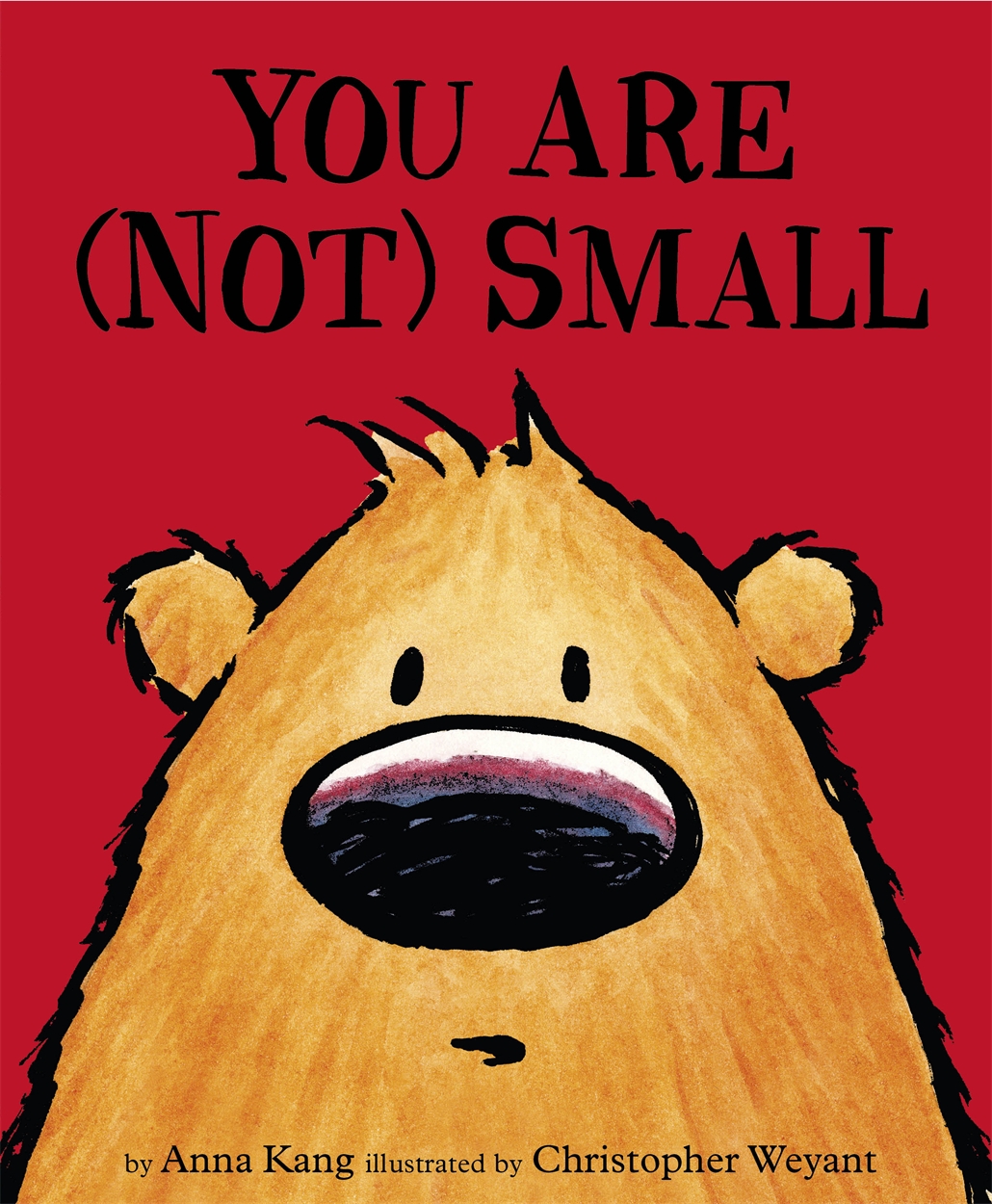 You Are Not Small by Christopher Weyant | Hachette Childrens UK