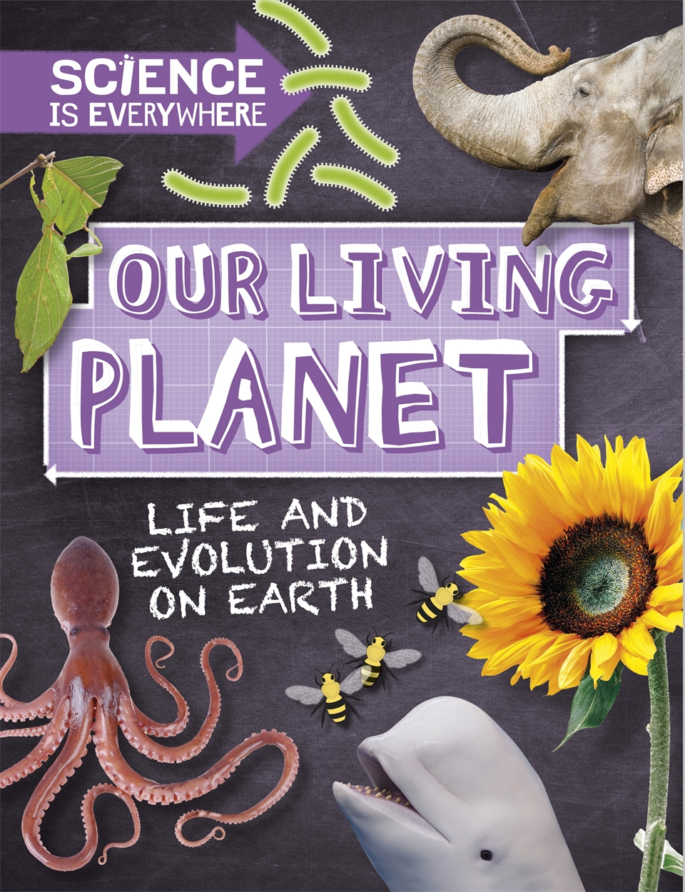 Science is Everywhere: Our Living Planet by Rob Colson | Hachette ...