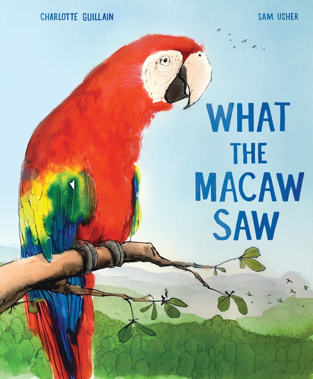 What the Macaw Saw by Charlotte Guillain | Hachette Childrens UK