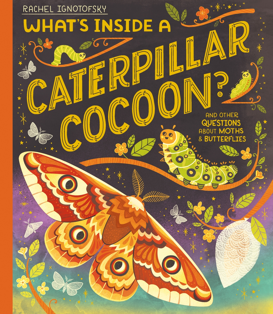 What’s Inside a Caterpillar Cocoon? by Rachel Ignotofsky | Hachette ...