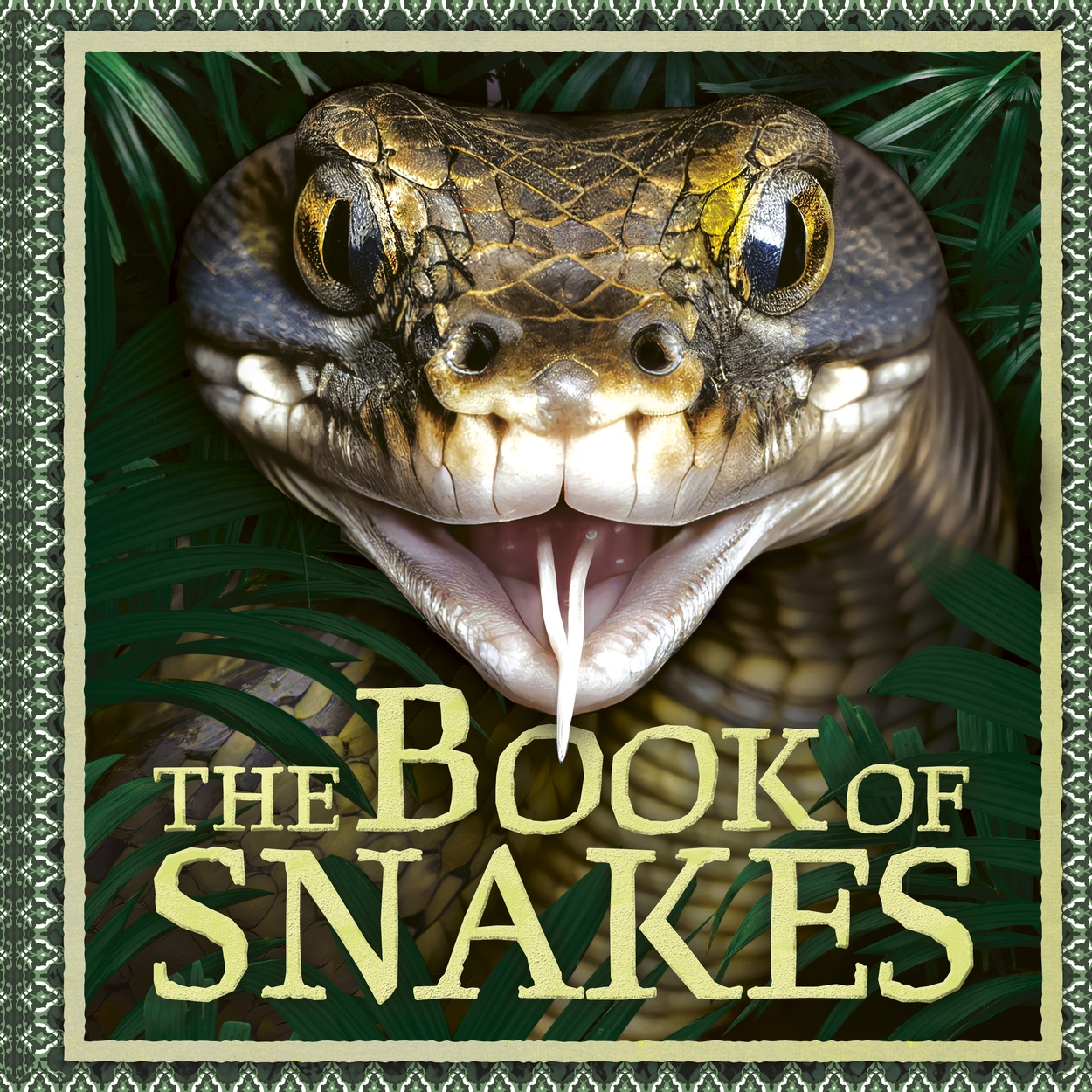 The Book of Snakes by | Hachette Childrens UK